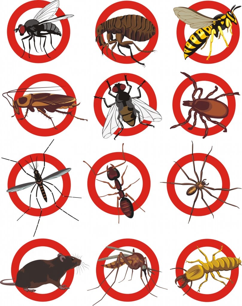 Pest Control Bergen County | Pest Exterminator | NJ Pest Management